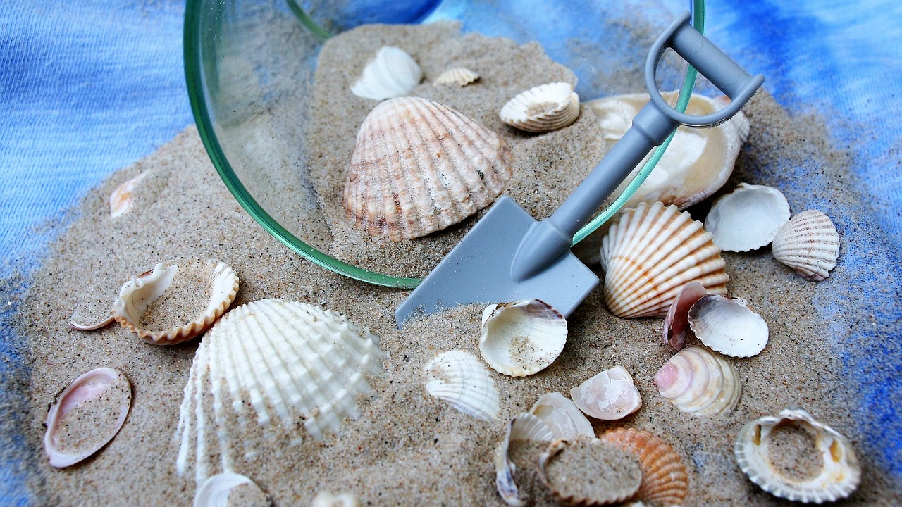 How a handheld sand scraper works | Thumotic